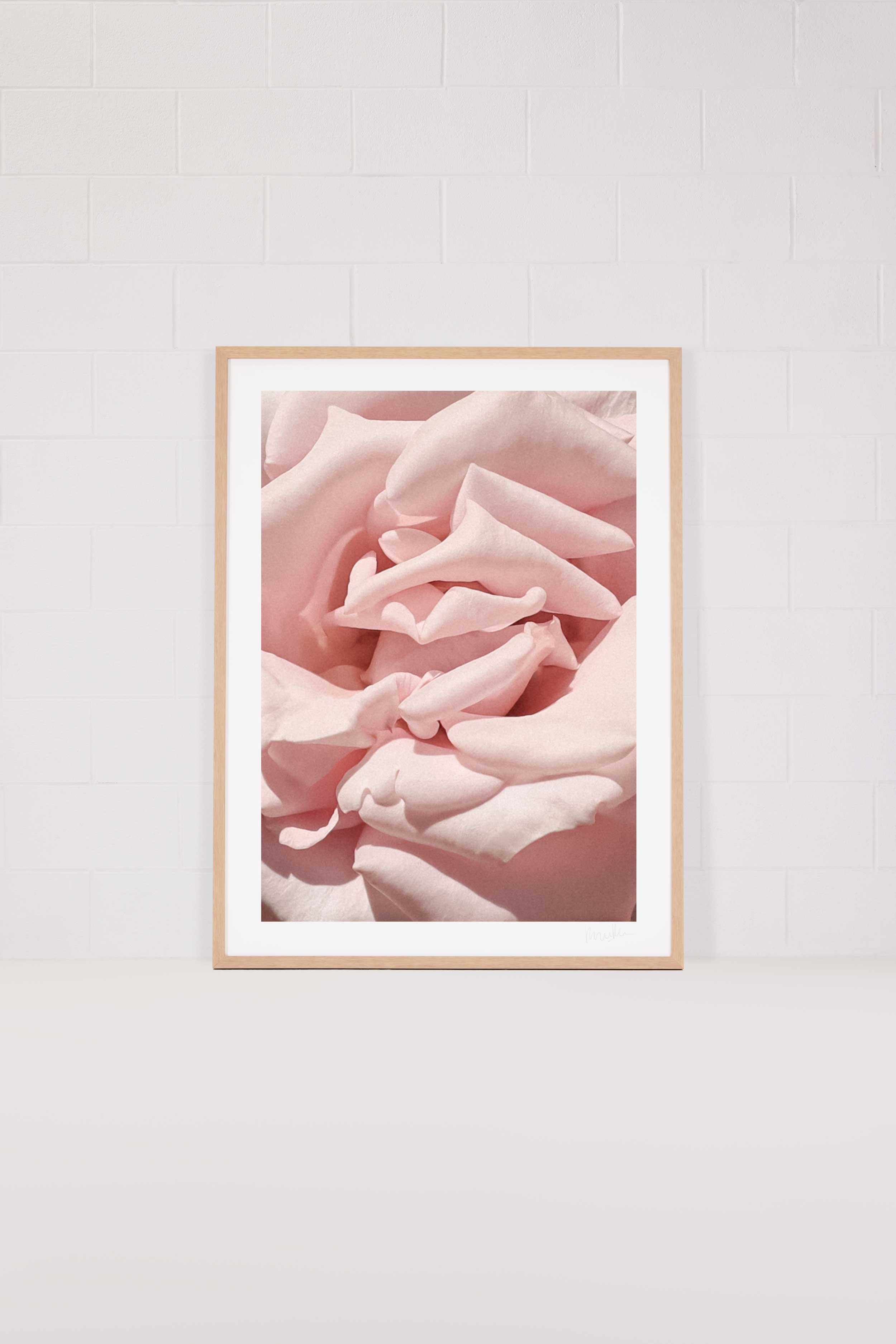 Beverly Rose - Beverly Hills, California | Fine Art Photographic Prints ...