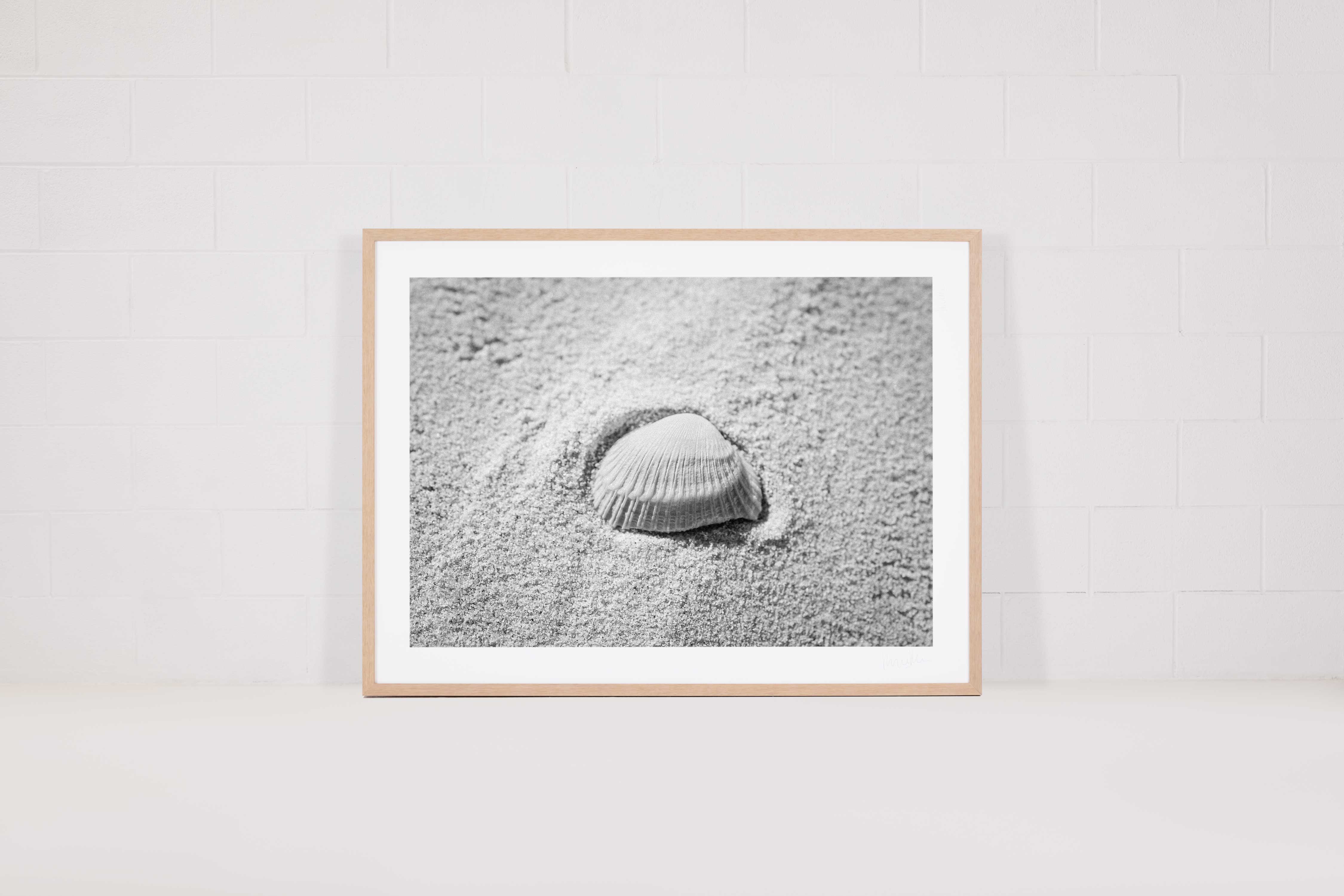 Sally Sells Seashells | Fine Art Photographic Prints By Poppie Pack